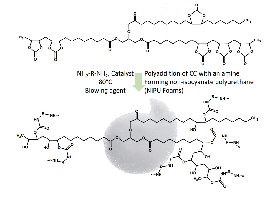 Bio Based Hybrid Non Isocyanate Polyurethane Nipuepoxy Foams Open Peer Review Project